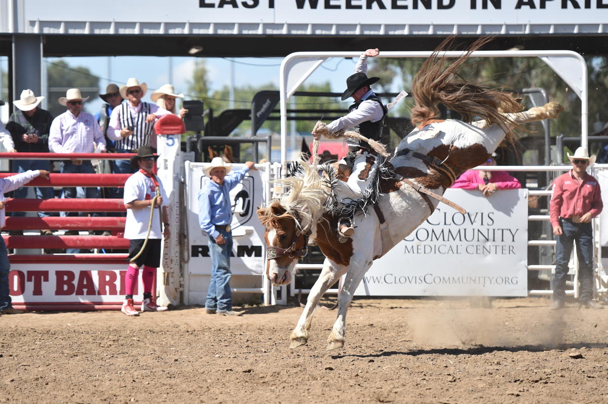 5 Things You Can't Miss at the 2024 Clovis Rodeo