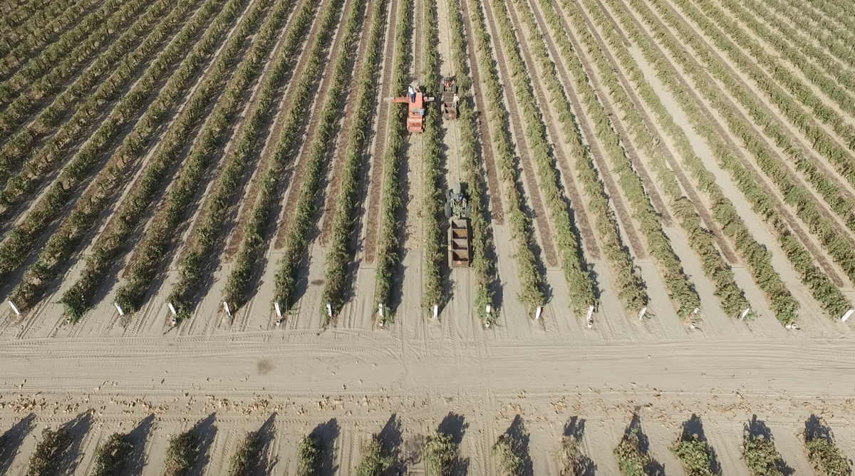 Farms and Agriculture in Fresno County