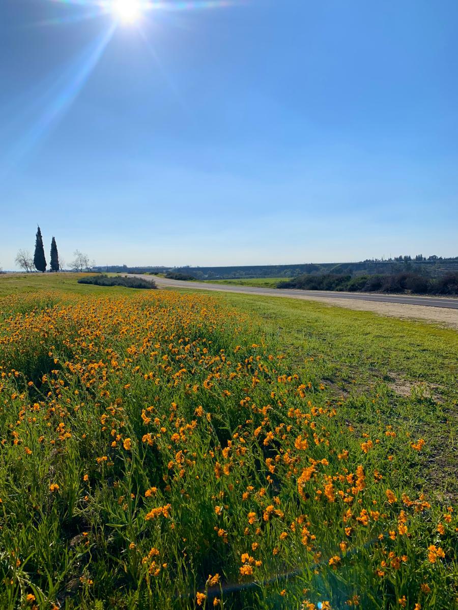 Local Favorites in Fresno County. The Local's List.