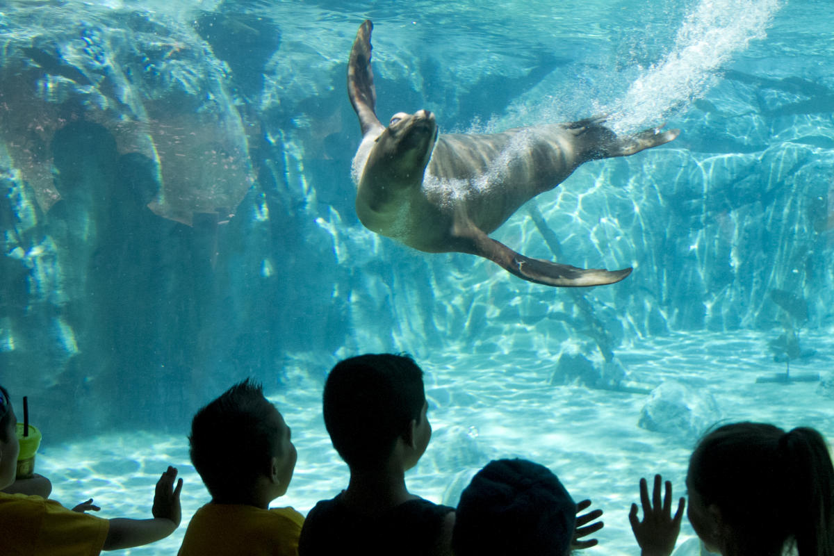 Top things to do with Kids Fresno County| Family Fun in Fresno & Clovis
