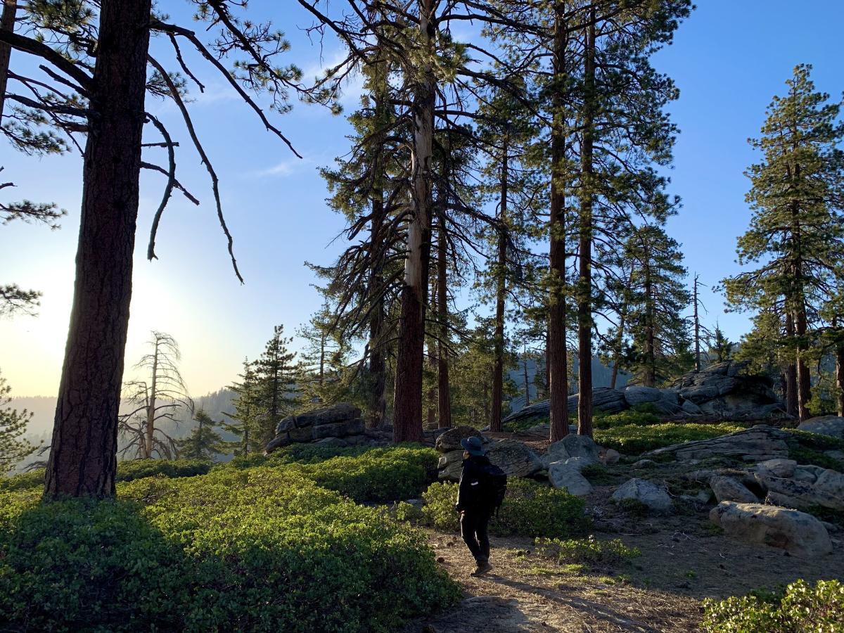 Visit Fresno County Staff Picks