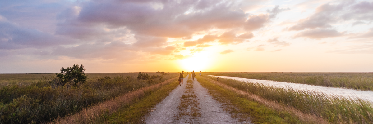 Coral Springs | Things to Do, Museums, Outdoors & Dining