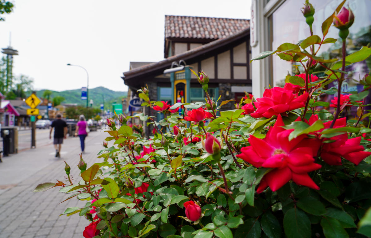 Spring in Gatlinburg | Outdoor Activities & Attractions