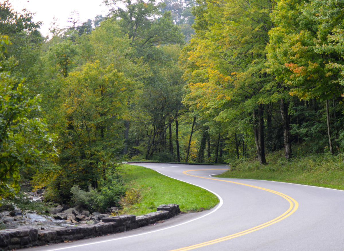 Park Announces Newfound Gap Road Paving Project
