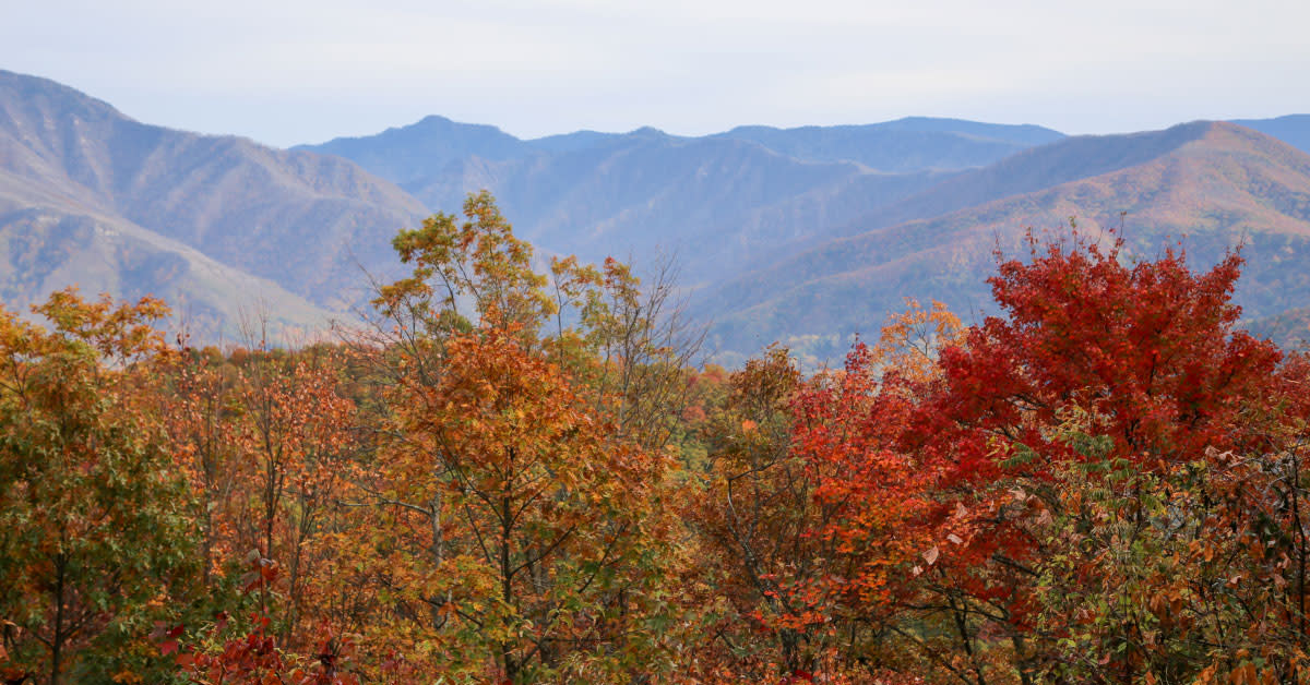 Top 5 Places to Take Pictures in Gatlinburg, TN This Fall