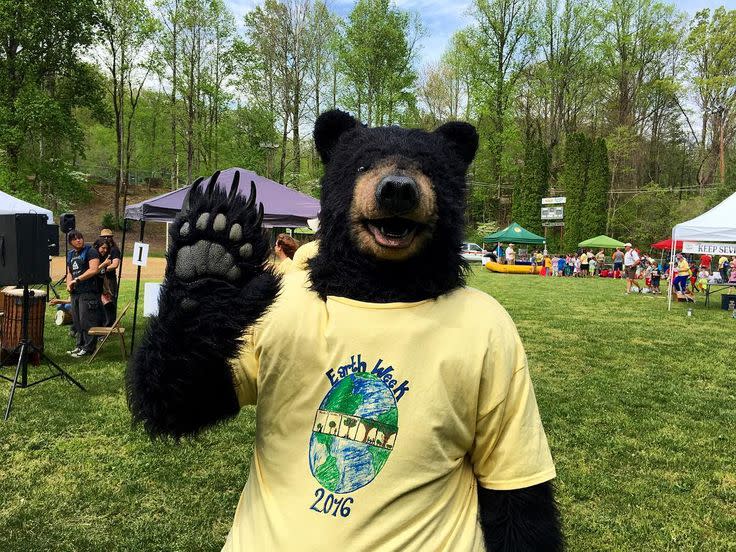 Zeno the Bear
