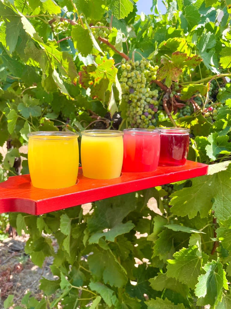 Slushies, Seltzers, Sangria, & More