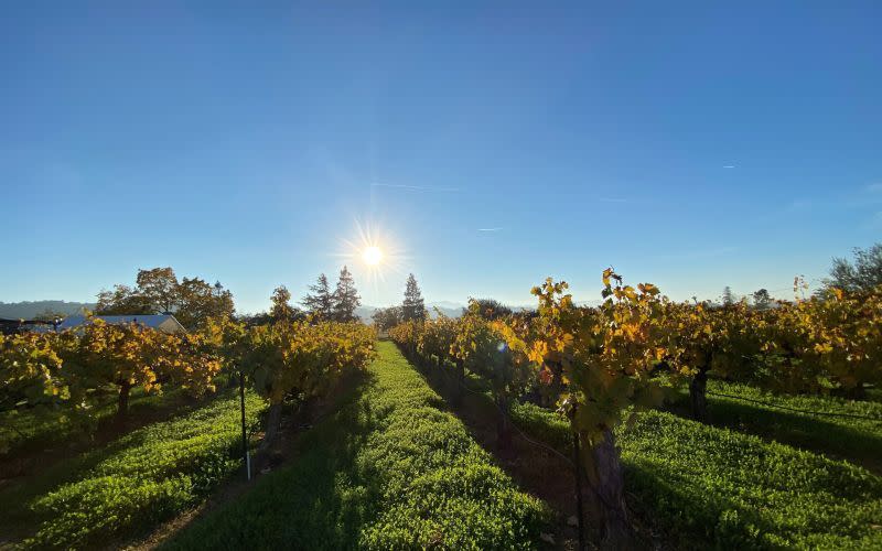 Media Resources - Visit Gilroy