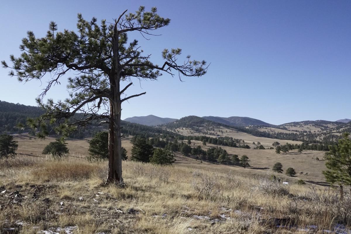White Ranch Park in Golden, CO | Hiking, Biking & Wildlife Views