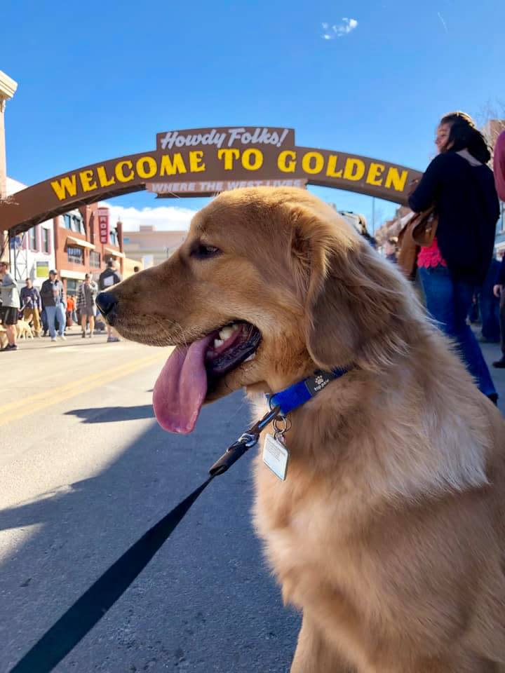 Dog-Friendly Activities and Accommodations in Golden, CO | Pet-Friendly ...