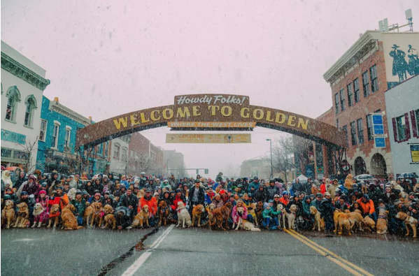 Hundreds of Golden Retrievers Brave Heavy Snow to Gather in Golden, CO