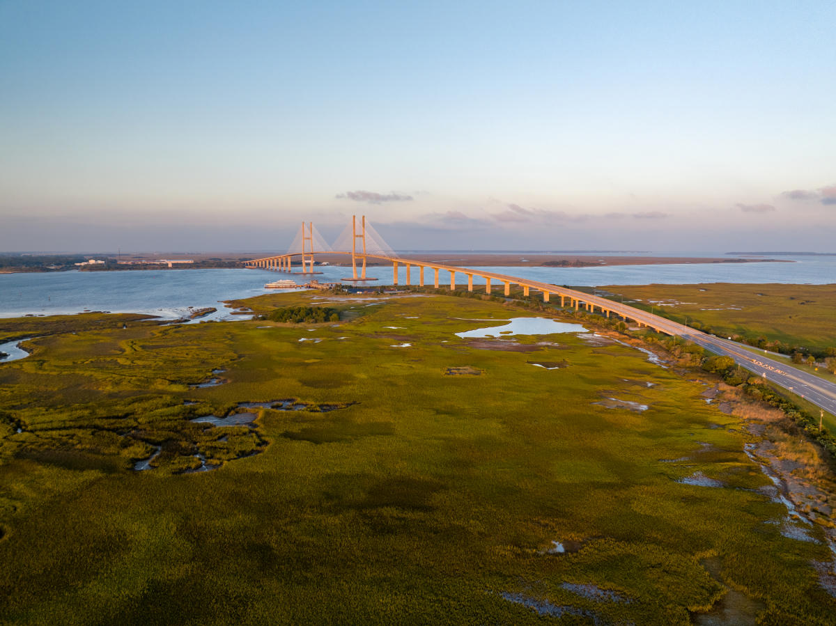 Golden Isles Parking & Access Information | Island Access