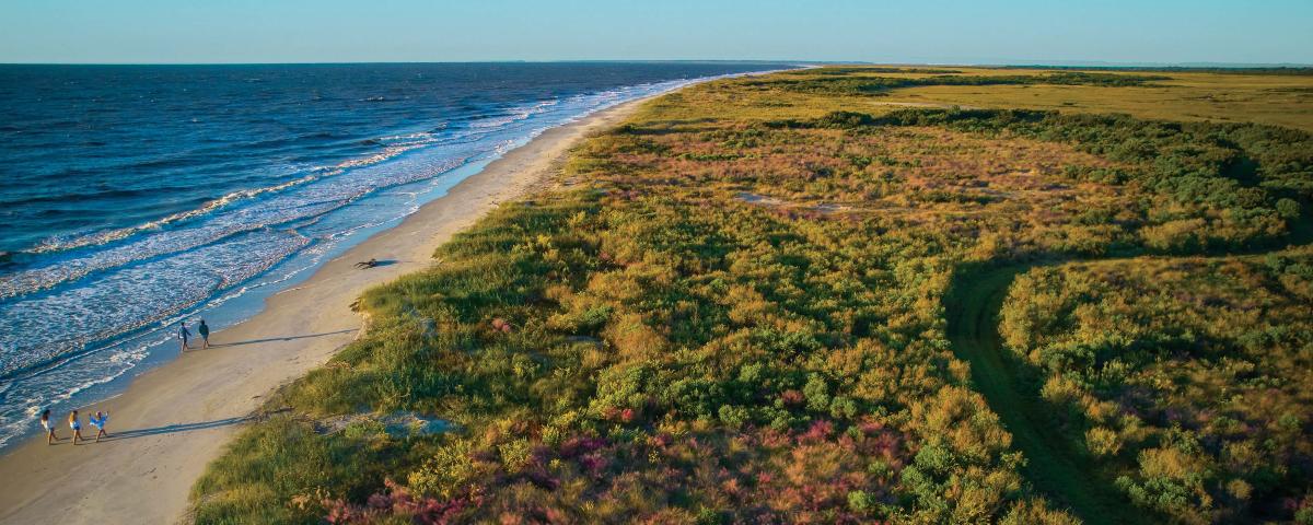 Golden Isles | Beaches, Things to Do, Restaurants & More on the Georgia ...
