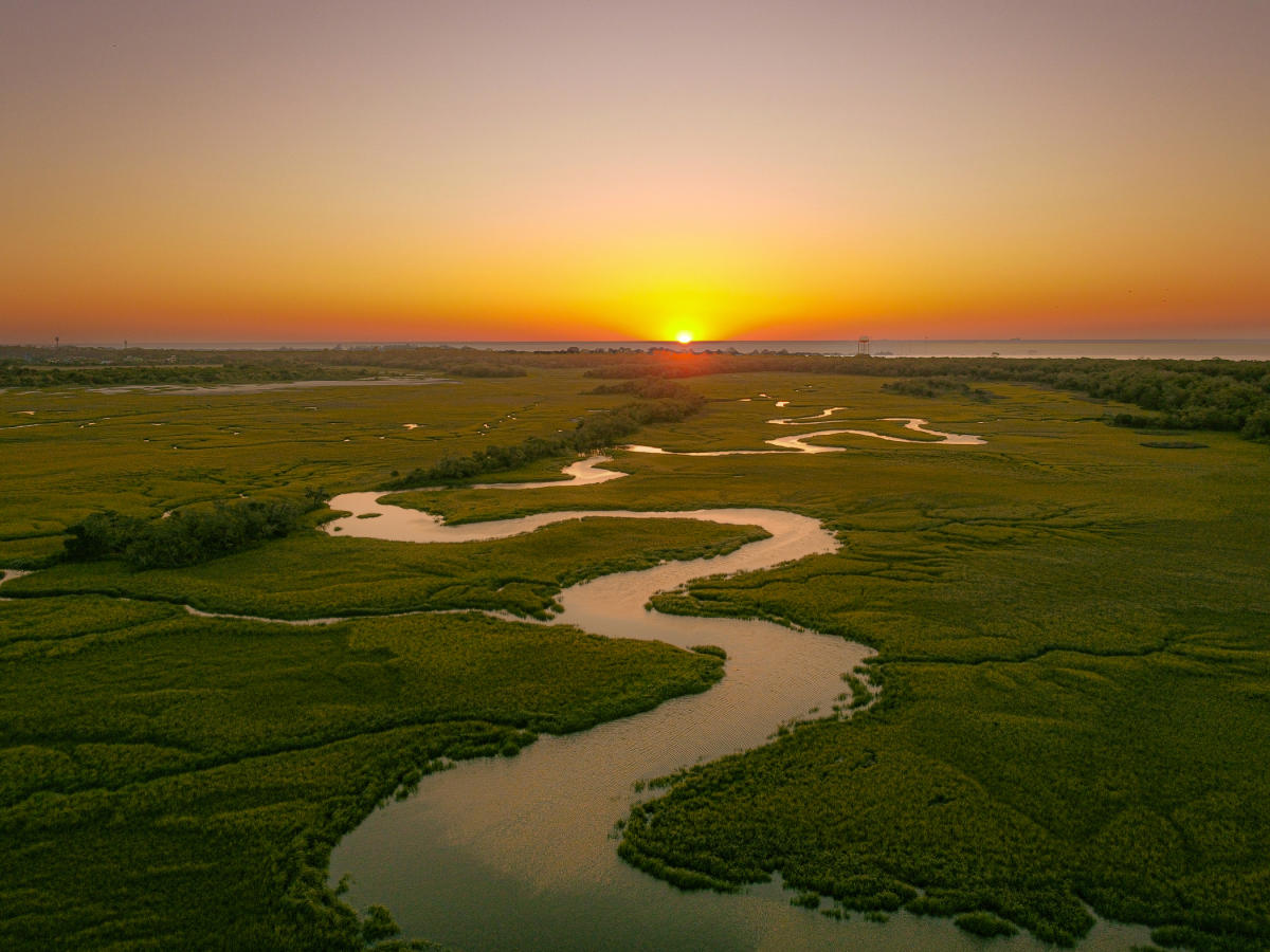 Golden Isles Scenic Tours