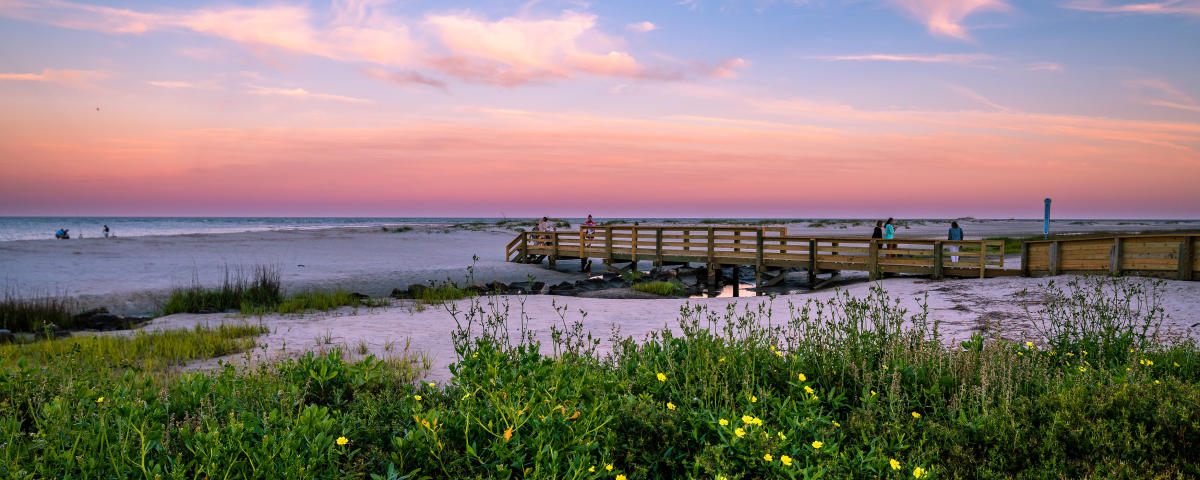 New Things to Experience in the Golden Isles