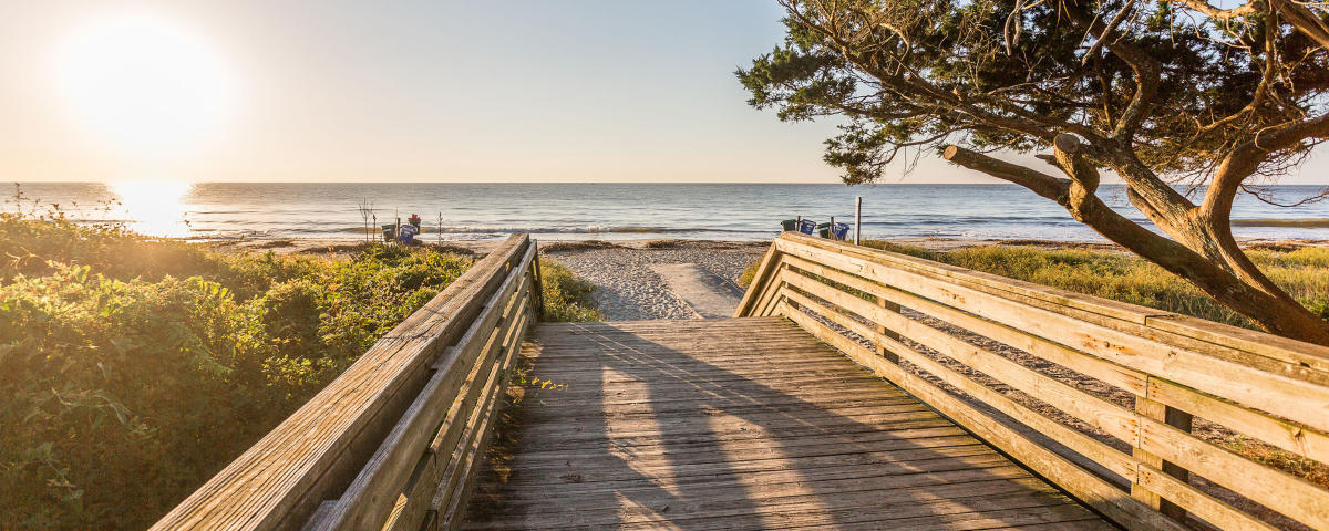 Golden Isles Beaches FAQs | Resources & Guidelines