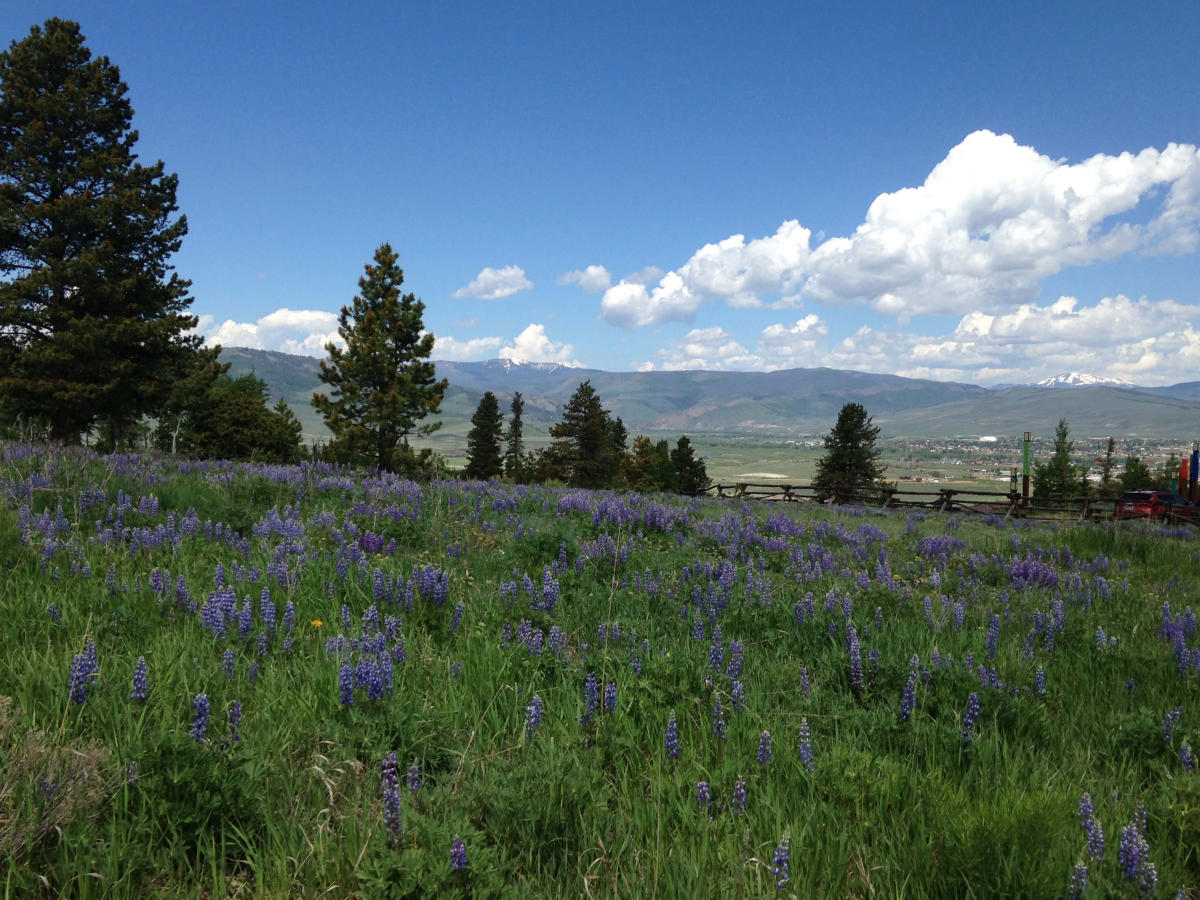 Summer in Granby - Destination Granby