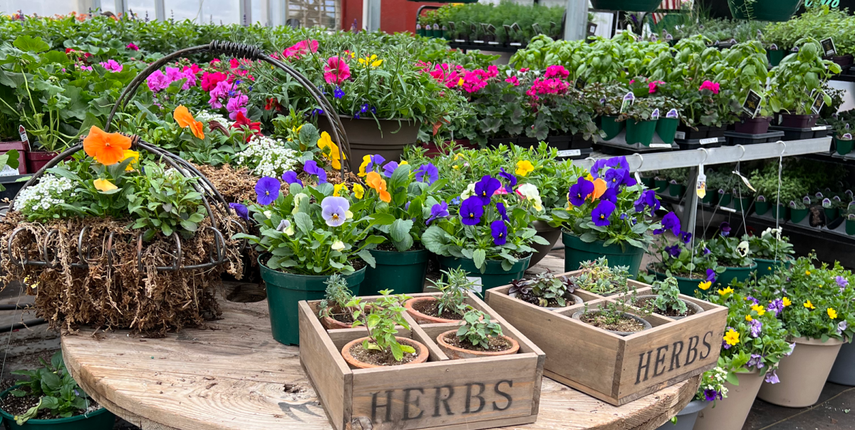 Shop local for Mother's Day - Granby, Colorado