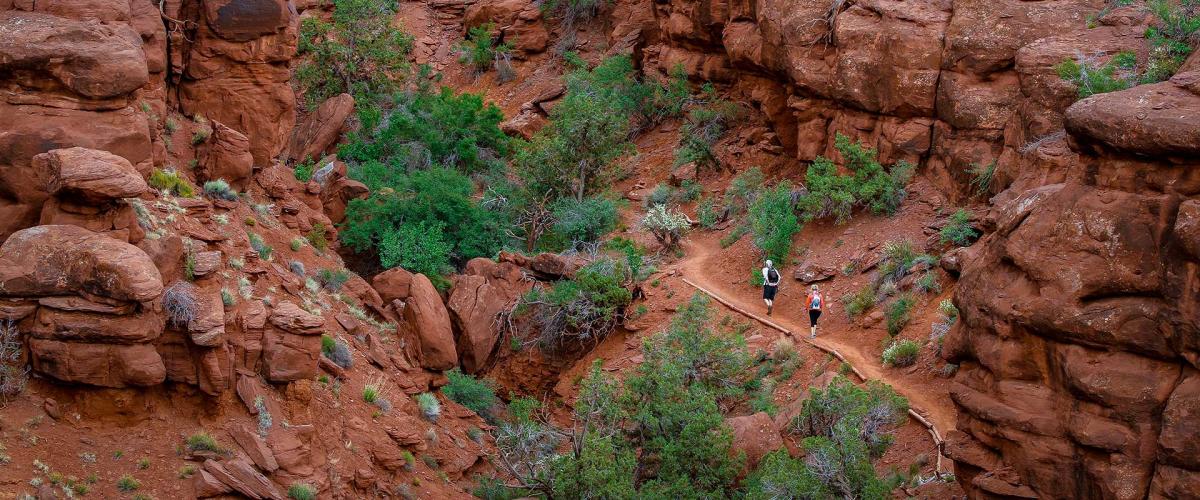 Moab Steward Business Training Program - Discover Moab, Utah