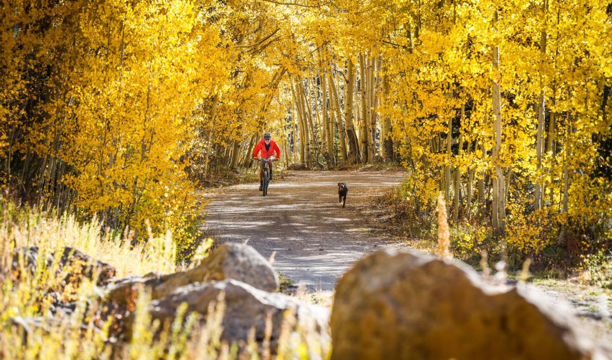Grand Mesa in the Fall | Grand Junction, Colorado