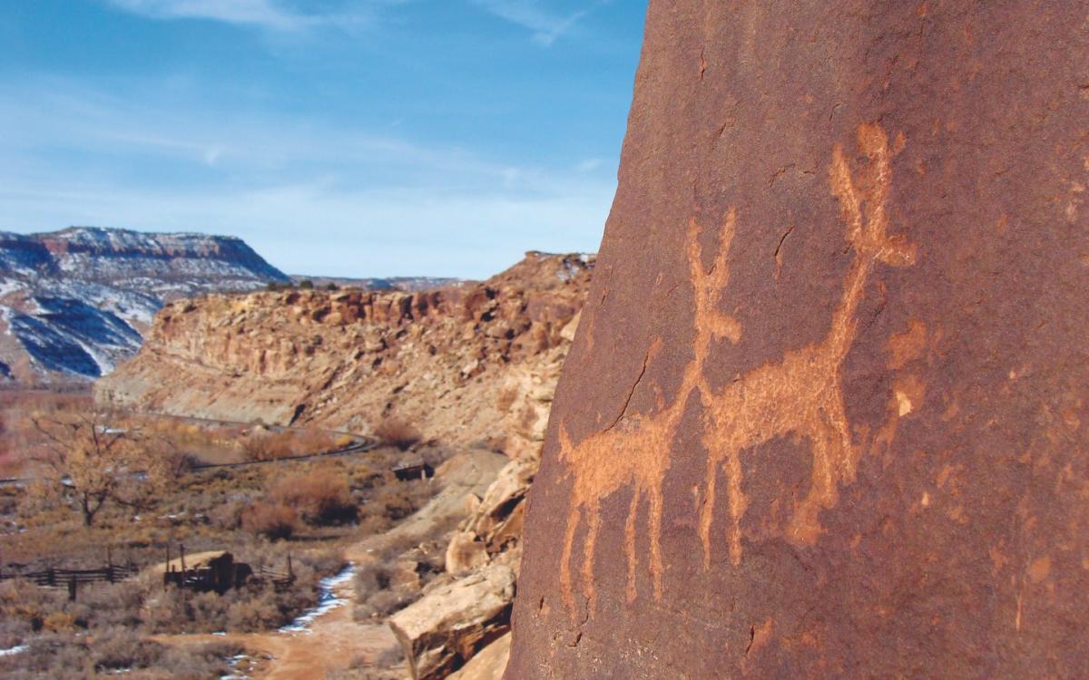what are the petroglyphs