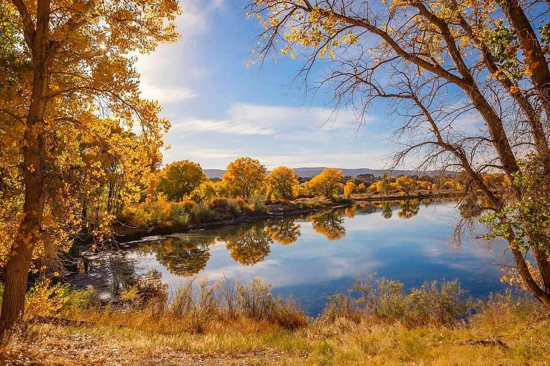 Four Ways to Enjoy Fall Foliage in Grand Junction