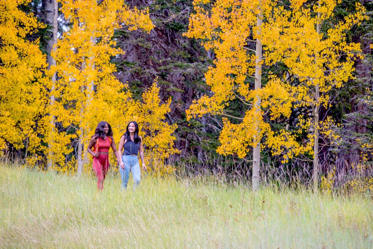 Grand Mesa in the Fall | Grand Junction, Colorado