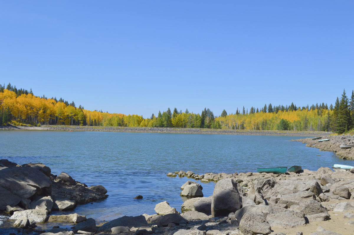 Diario Las Americas Highlighted Fall in Grand Junction