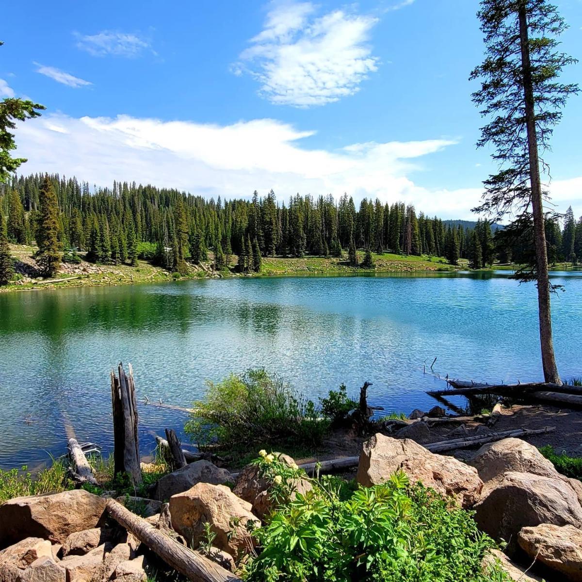 Insider's Guide to the Grand Mesa