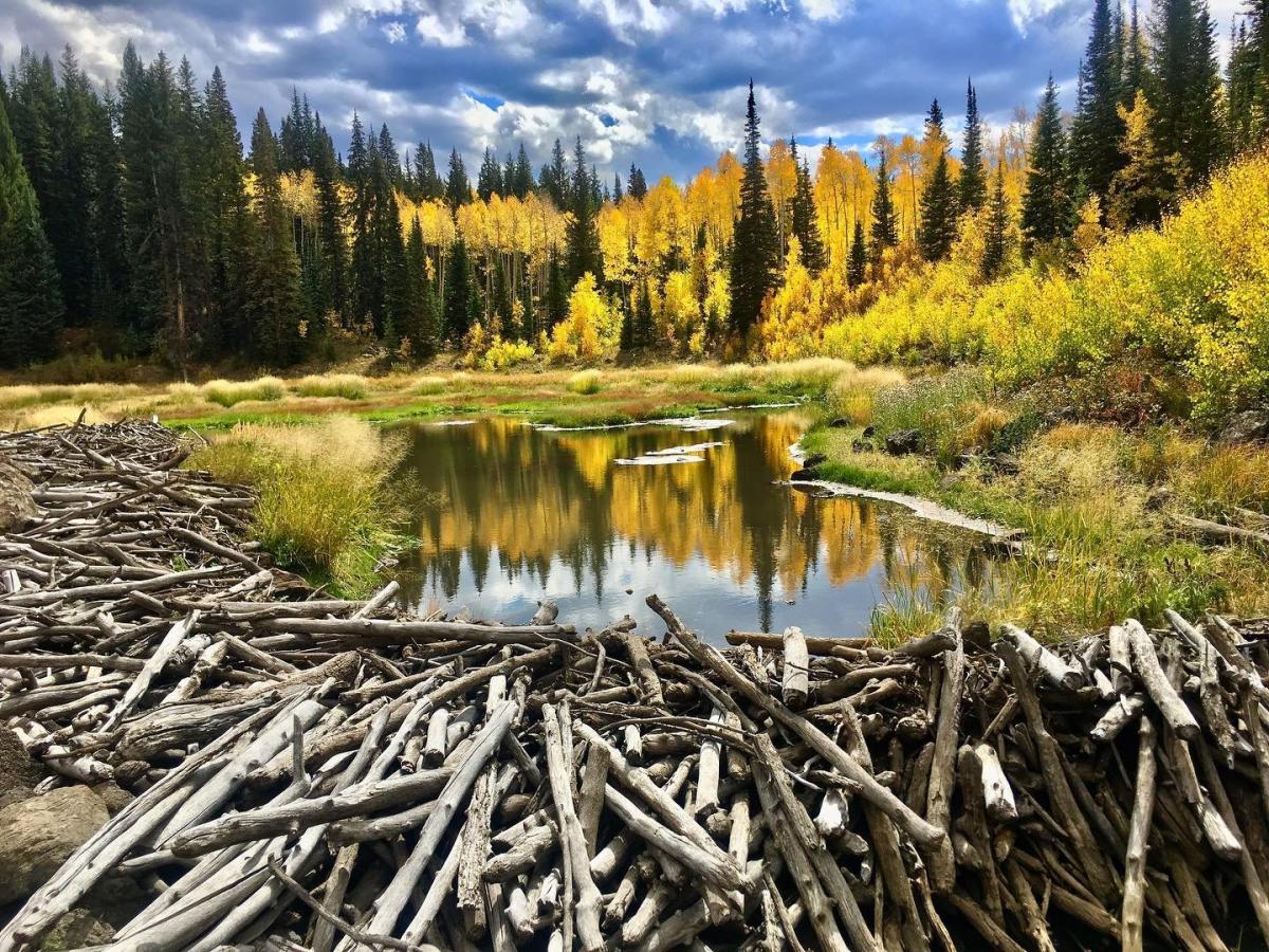 Scenic Fall Drives in Grand Junction, Colorado