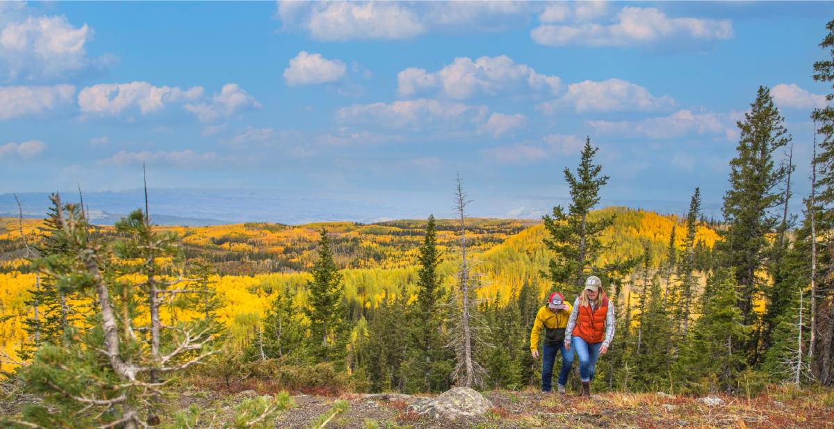 The Best Scenic Drives Near Grand Junction, CO | Explore Now