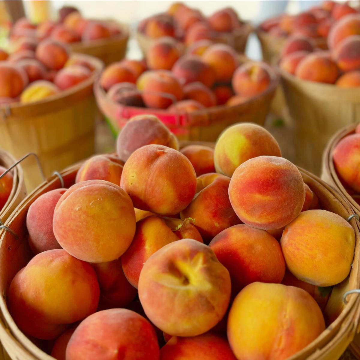 Conde Nast Traveler Featured Grand Junction for Delicious Dessert