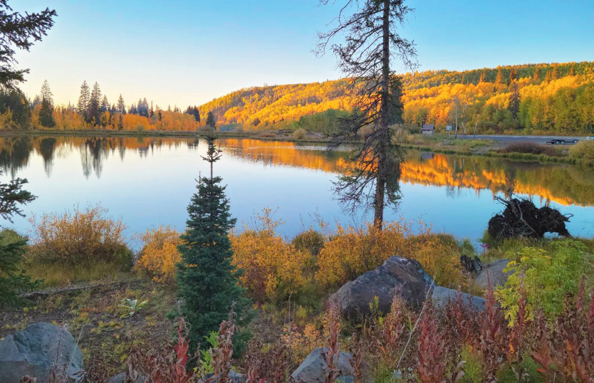 4 Places to See the Fall Foliage Colors in Grand Junction, CO