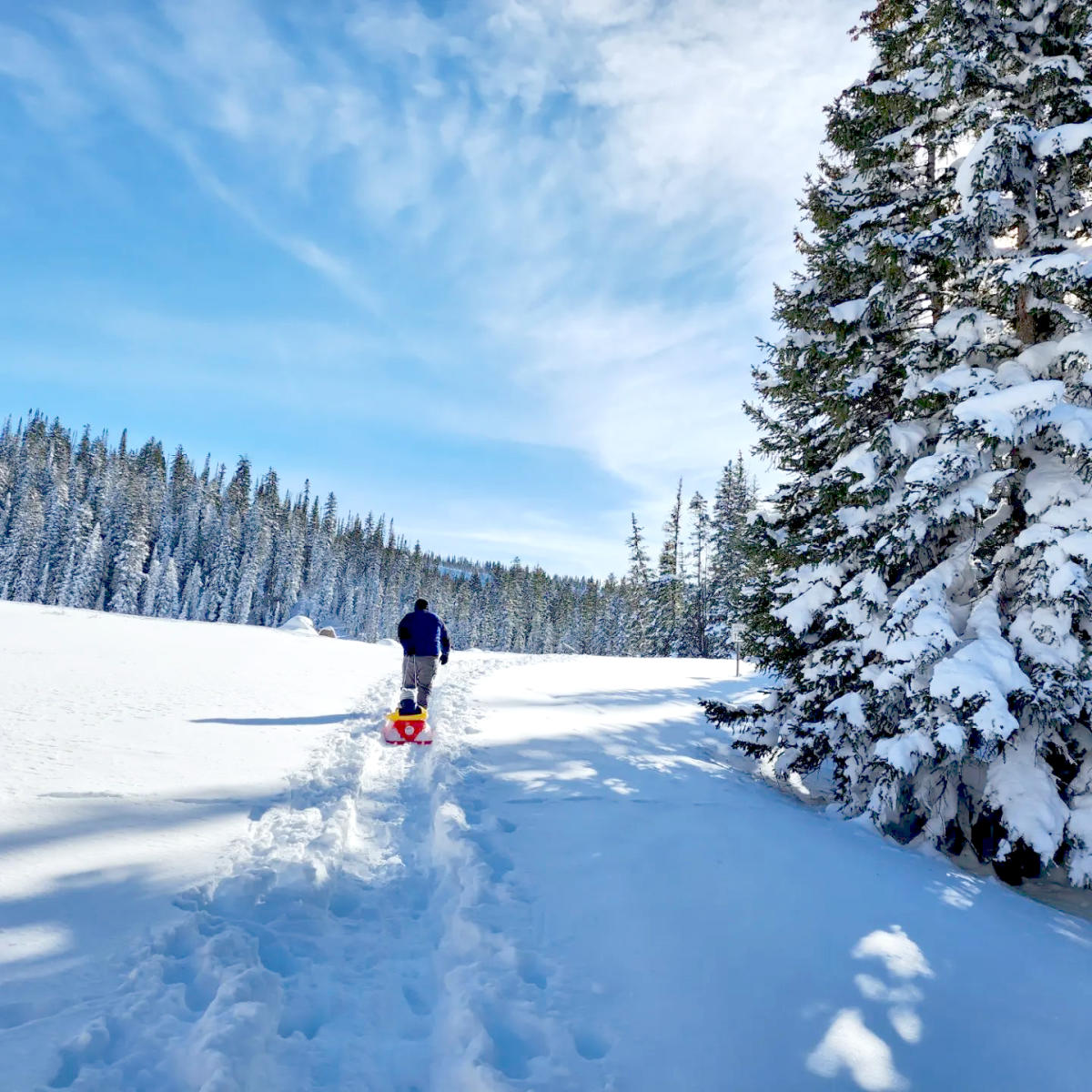 Wild Winter Fun For The Wee Ones