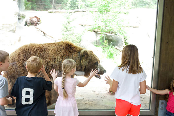 John Ball Zoo | Things to do in Grand Rapids Michigan