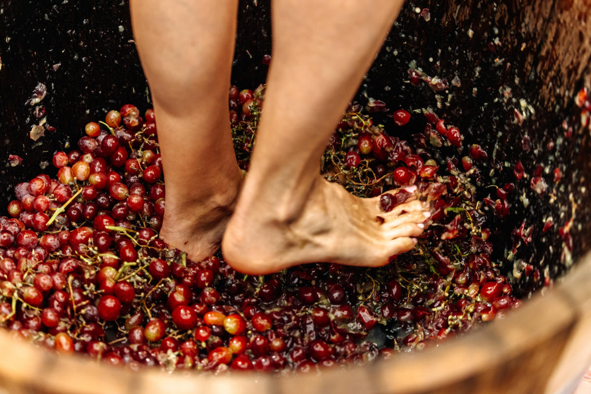 Grapefest in Grapevine, Texas | Events & Activities