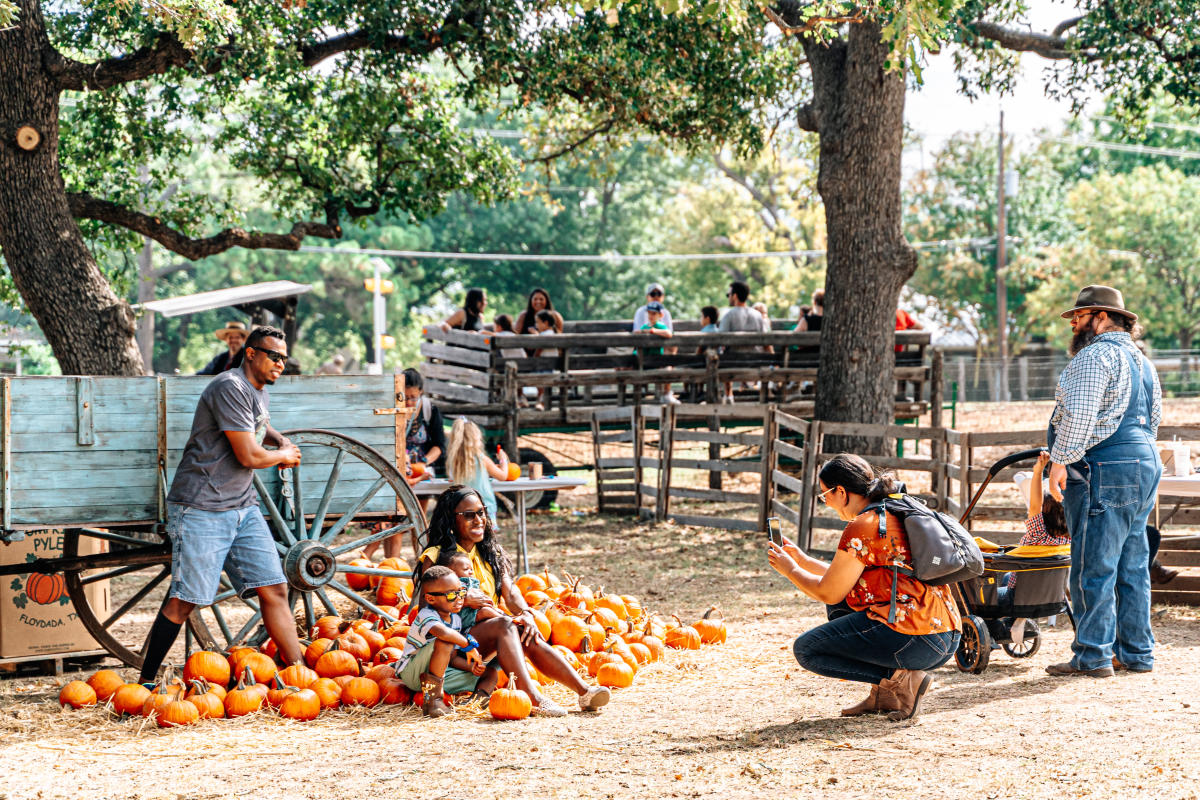 Nash Farm Fall Round Up in Grapevine | Animals & Cake Walk