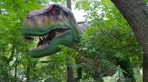 Tower Gallery Dinosaur Exhibit | Grapevine, Texas