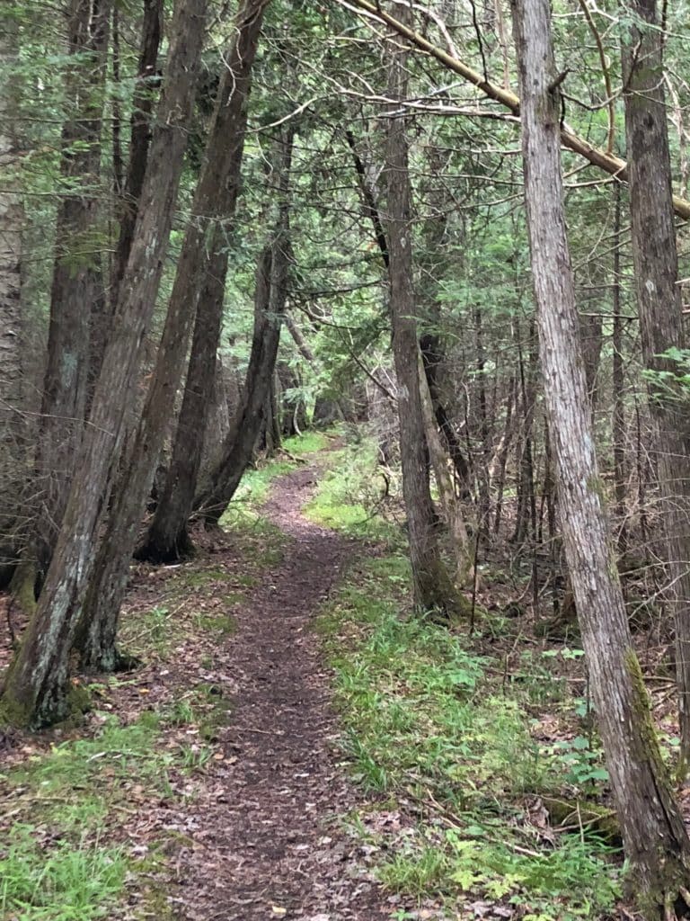 Hiking in Grayling MI | Grayling Visitor's Bureau