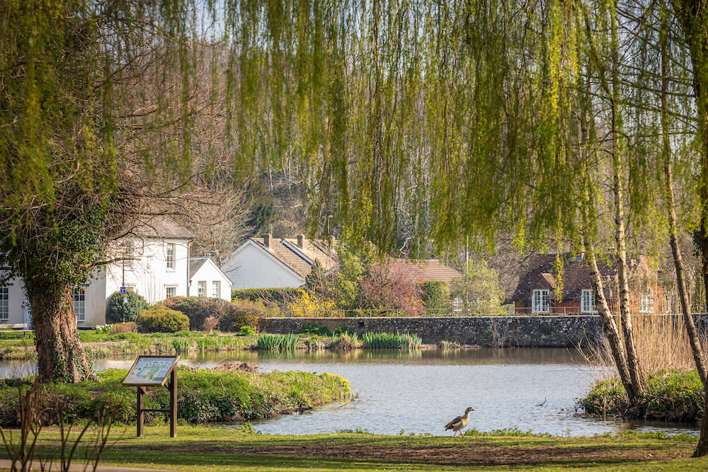 Visit Midhurst: The Heart of the South Downs National Park