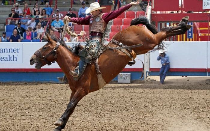 In 2023, the Greeley Stampede Foundation Awarded its Largest ...