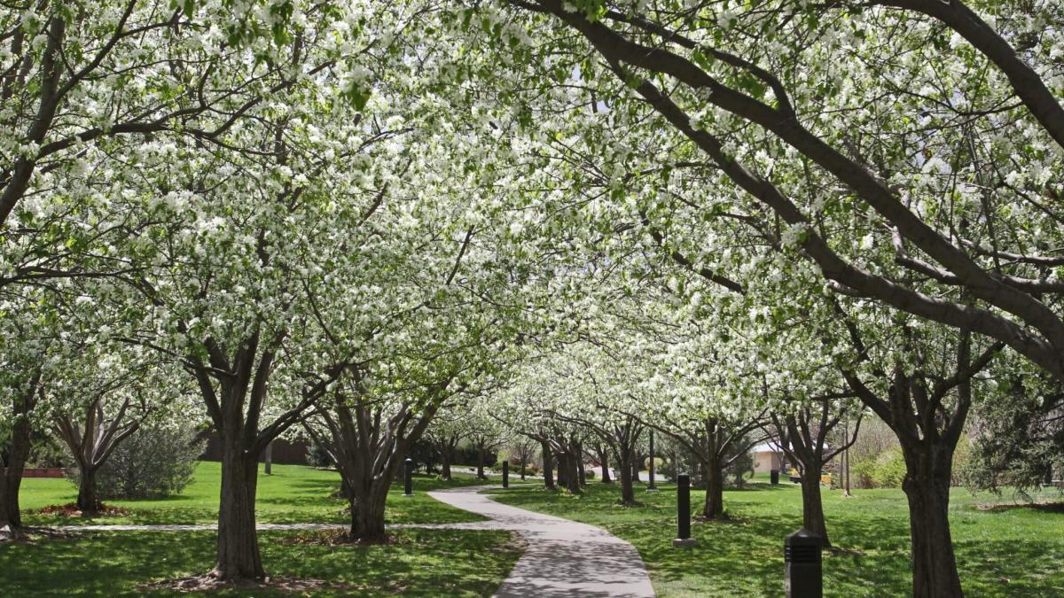 5 Parks in Greeley, Colorado, to Add to Your Bucket List