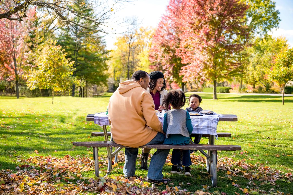 Let’s Build Your Perfect Picnic Basket GB Style | Discover Green Bay