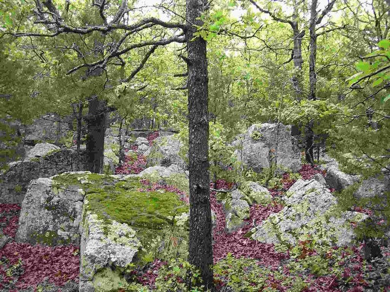 Things To Do in Sand Springs | Green Country Oklahoma