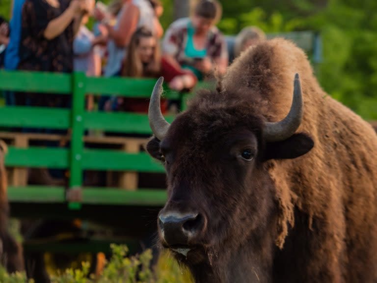 Copan Lake Area Things To Do | Green Country Oklahoma