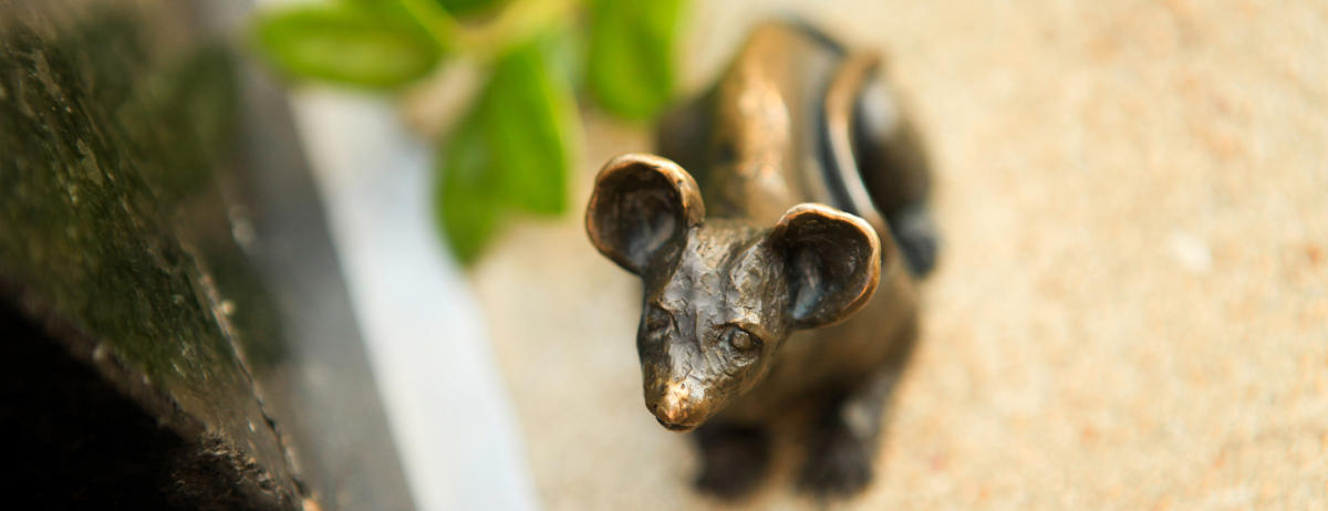 Mice on Main | VisitGreenvilleSC