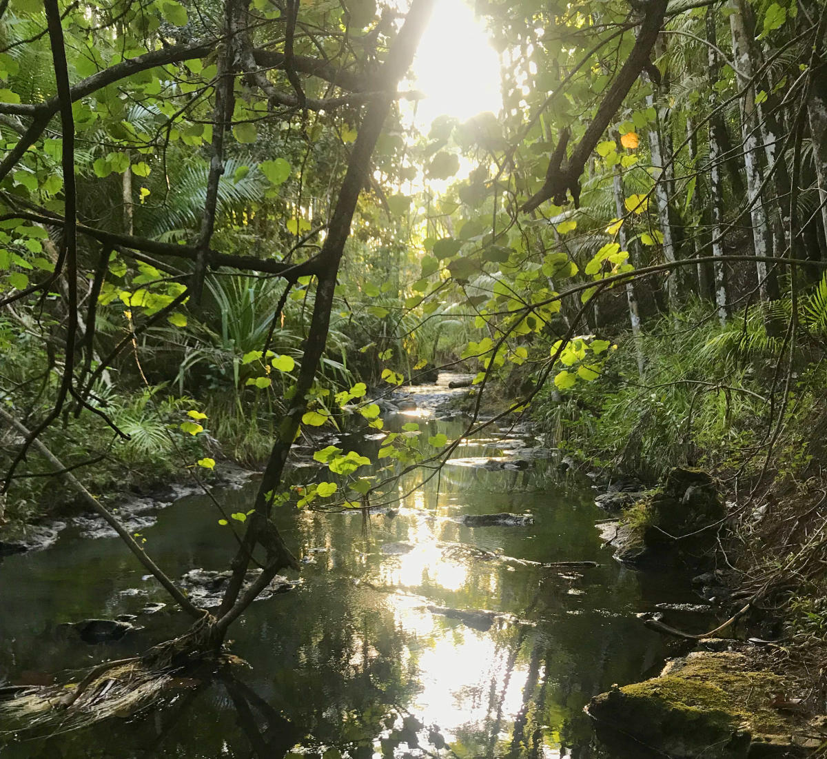 Happy Scavenger Hunting, Guam!