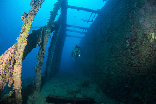 Photographs by Tim Rock