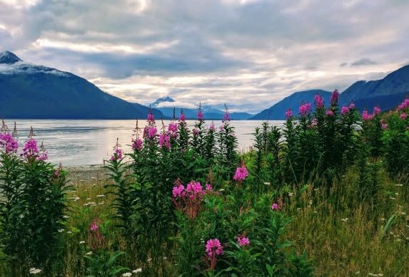 Insider's Guide to Haines, Alaska: 21 Top Things to do With Kids