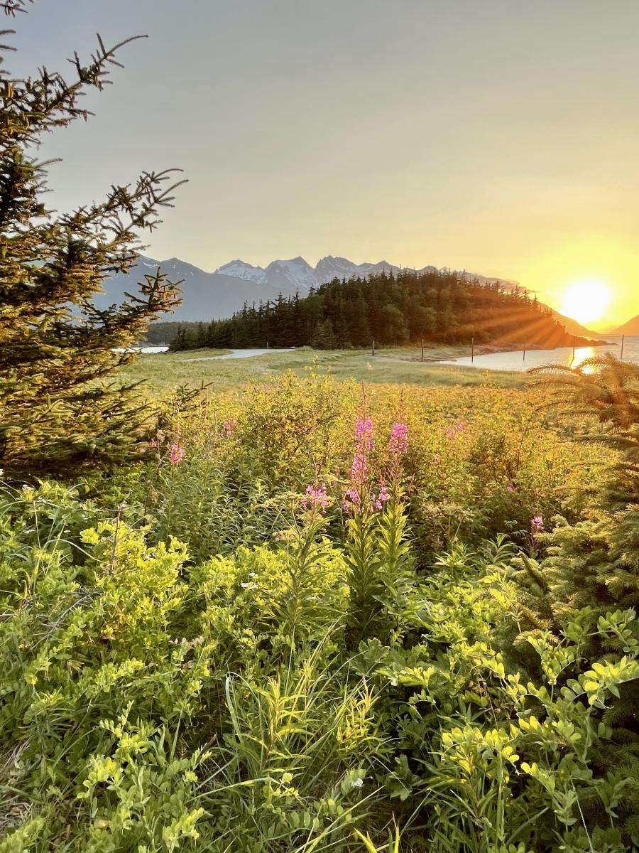 Discover Haines, Alaska: State Park Campgrounds Now Open for the Season